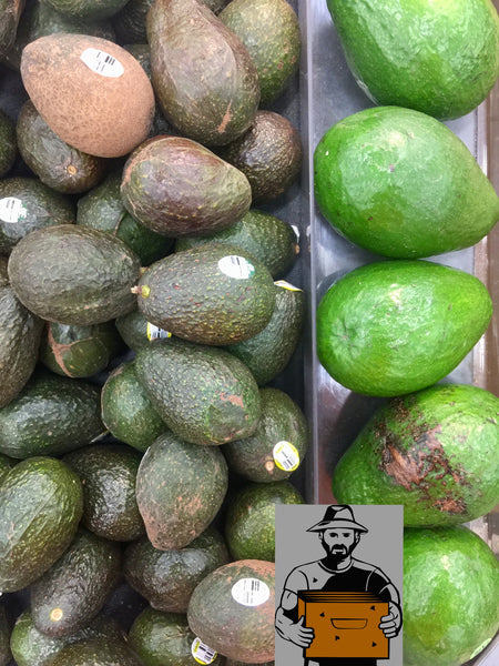 Local Guac – The Native Guy